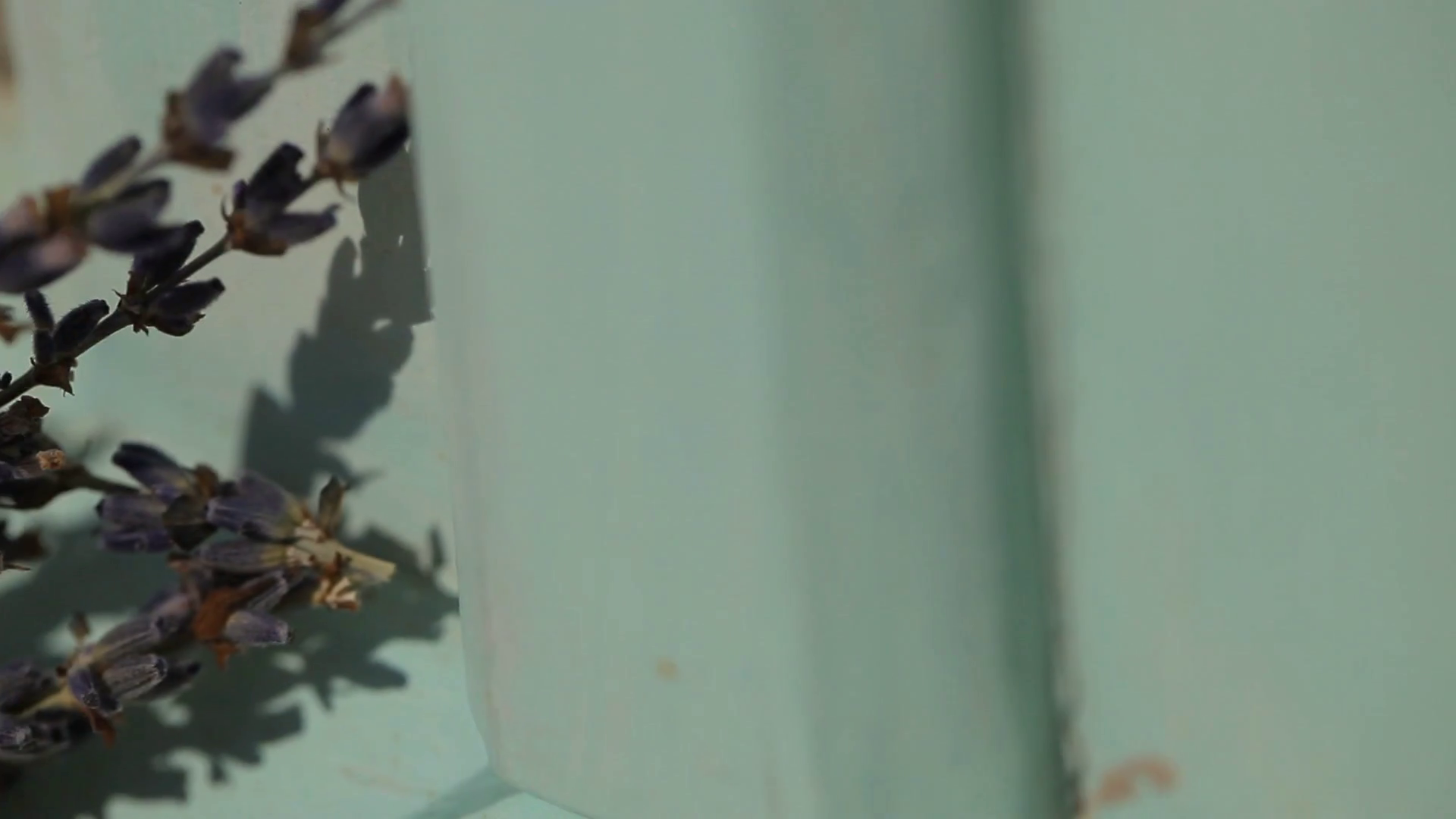 Greek Grass Herbal Grass Stock Footage SBV-306370387 - Storyblocks