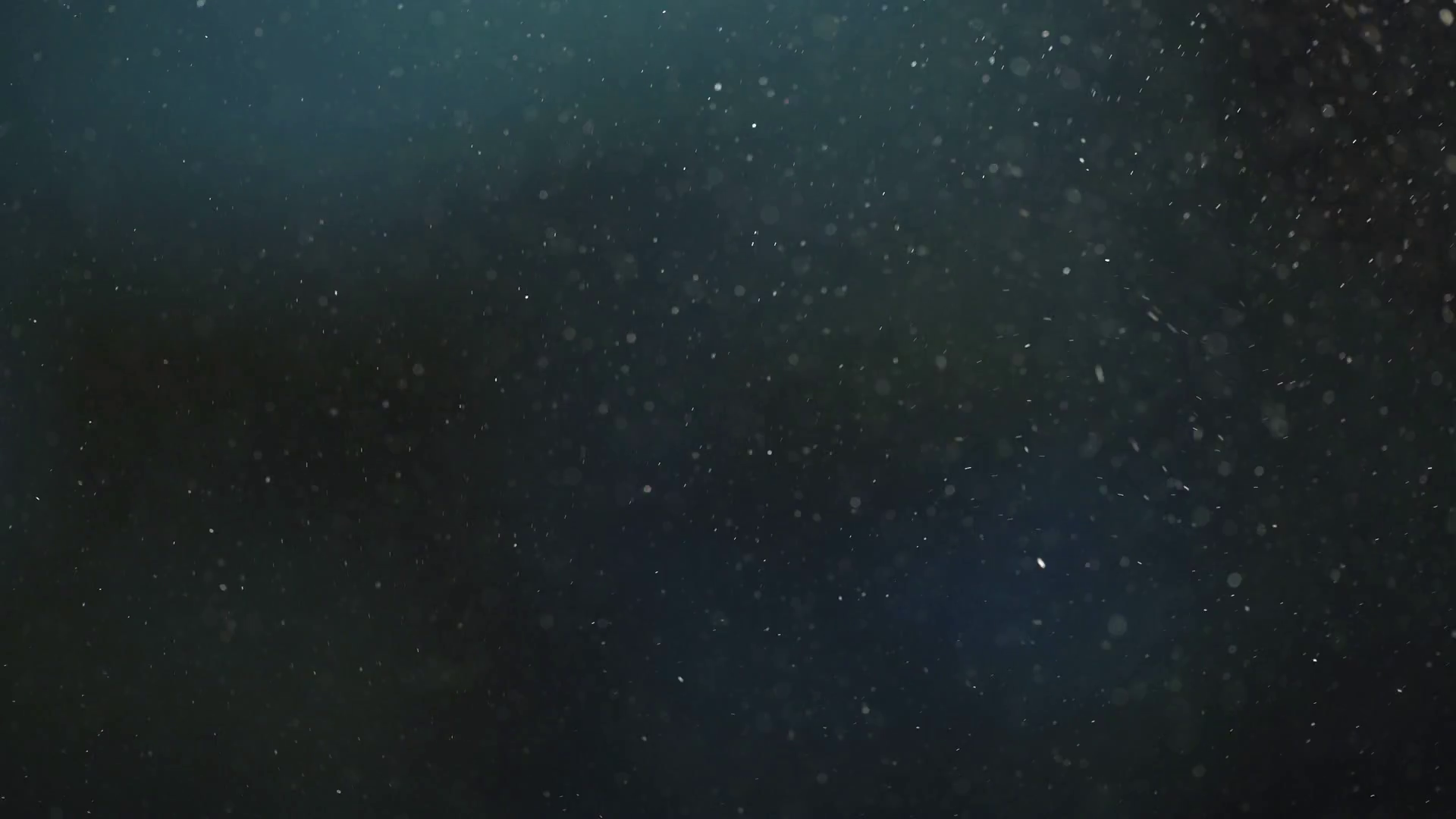 Saw dust falling, sawing wood in slow motion Stock Video Footage 00:27 ...