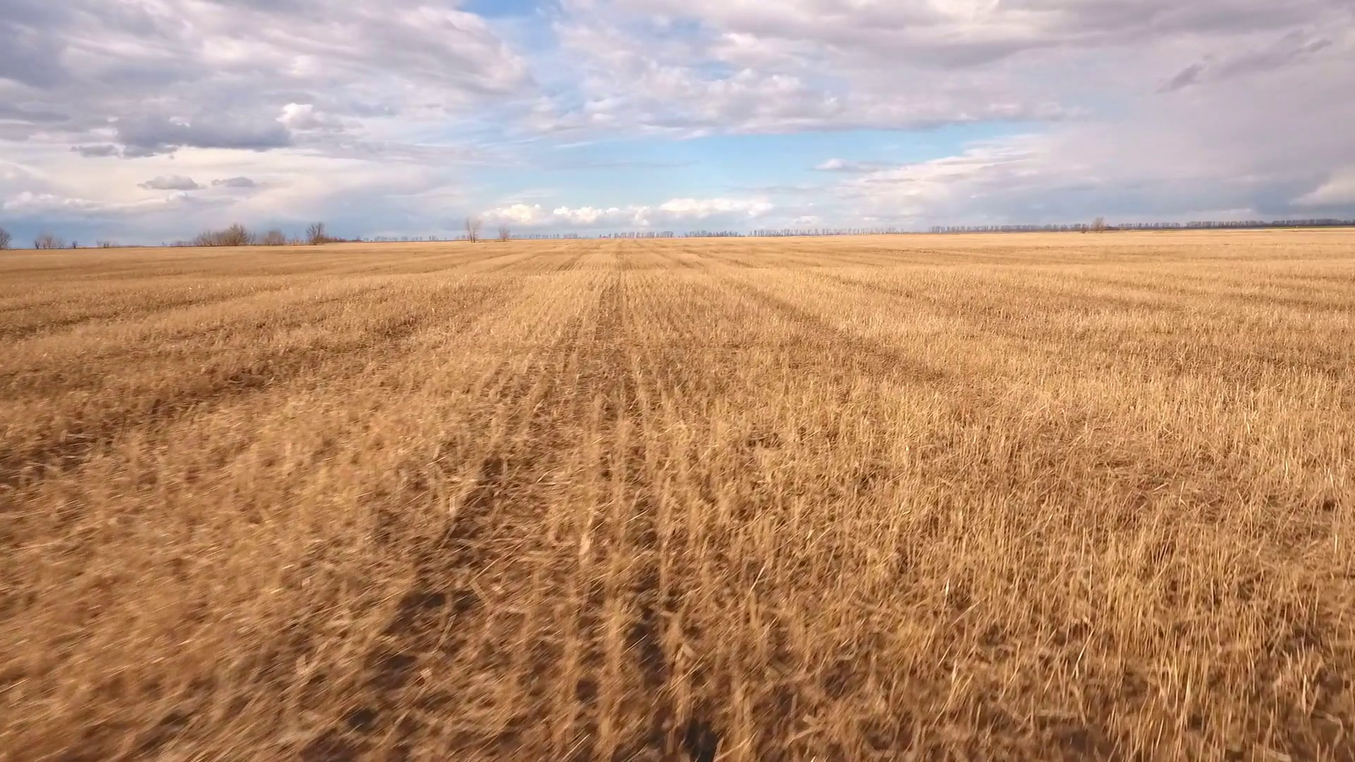 Areal View Of Crop Fields In Sunny Summer Day Stock Footage SBV ...