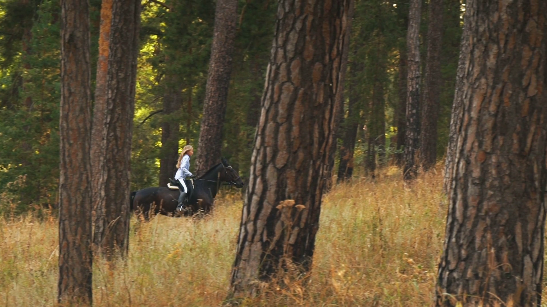 Girl Riding Horse Walking In Woods Stock Footage SBV-318208101 ...