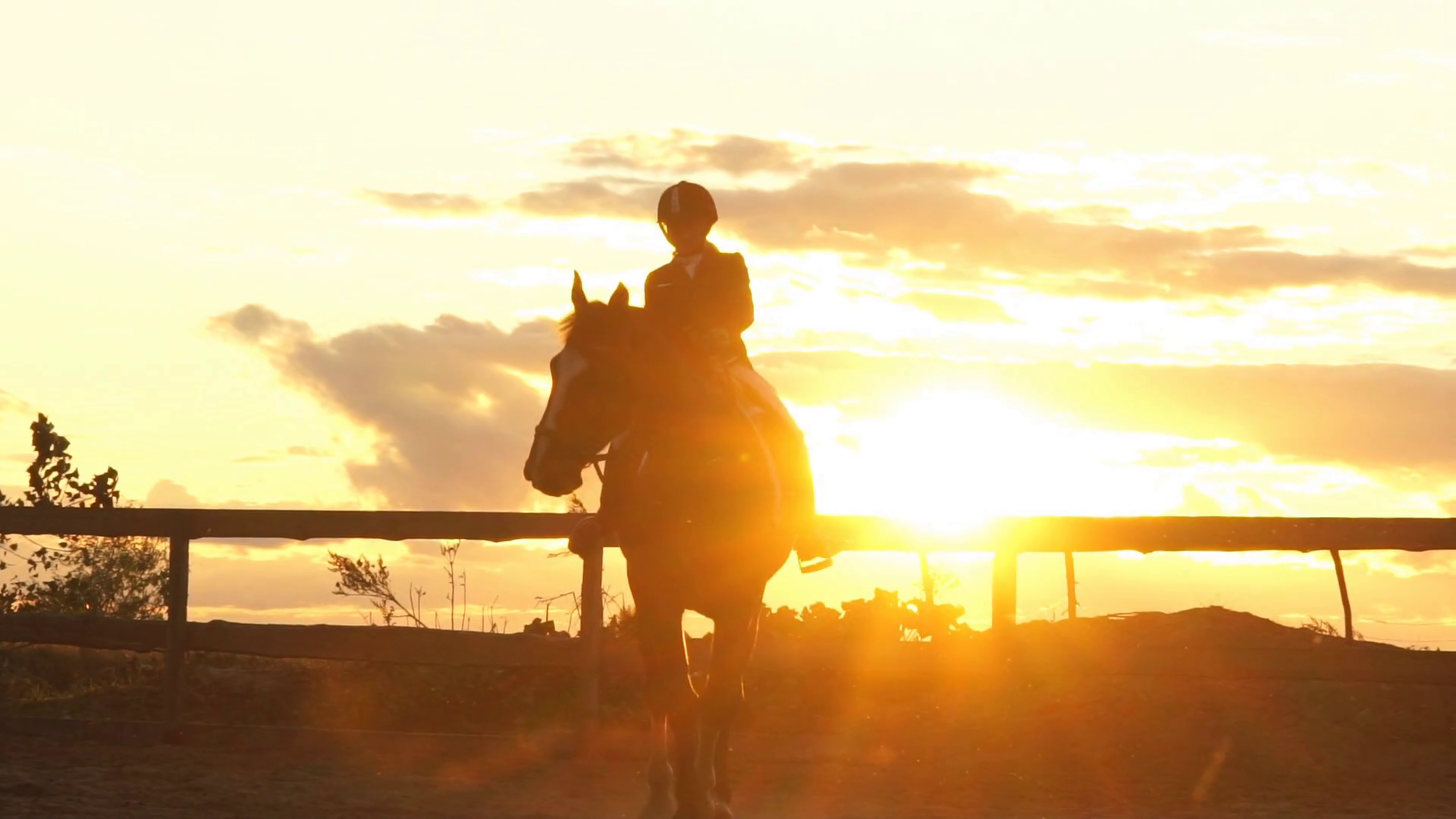 Sunset Horse Riding: Fearless Young Stock Footage SBV-318209468 ...