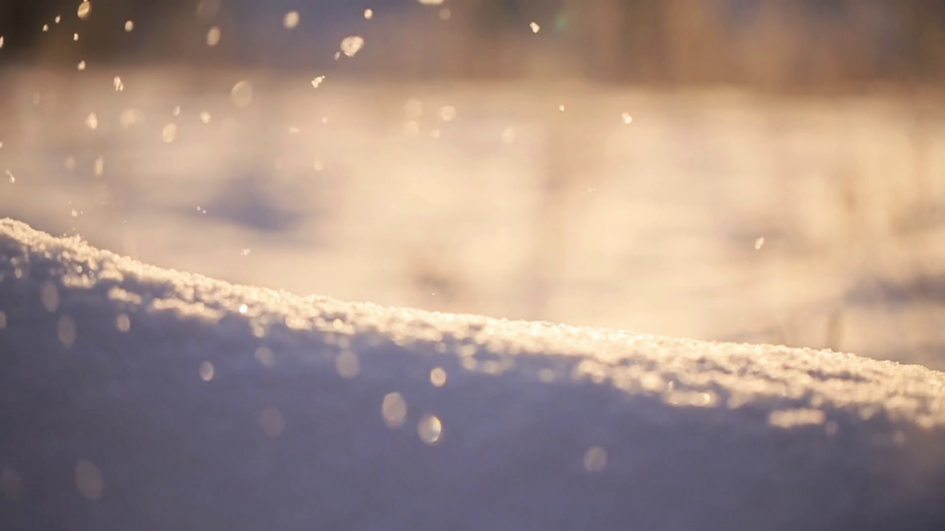 Shallow Snow Falling Shallow Depth Of Field Stock Footage SBV-307762102 ...