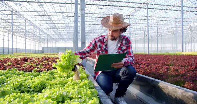 Agronomy Production Stock Footage: Royalty-Free Video Clips - Storyblocks