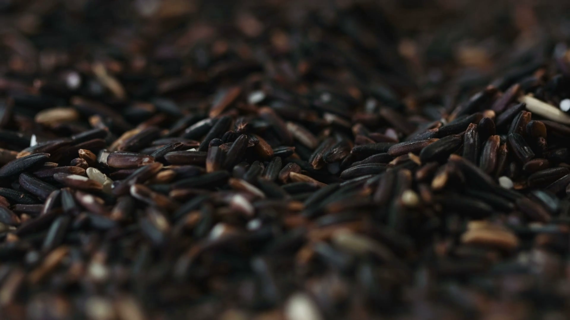 Rotation Around Pile Of Uncooked Black Rice Stock Footage SBV-306682218 ...
