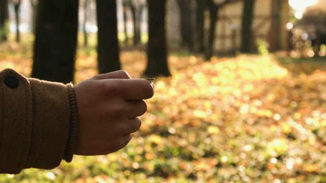 Toss Off Stock Footage: Royalty-Free Video Clips - Storyblocks