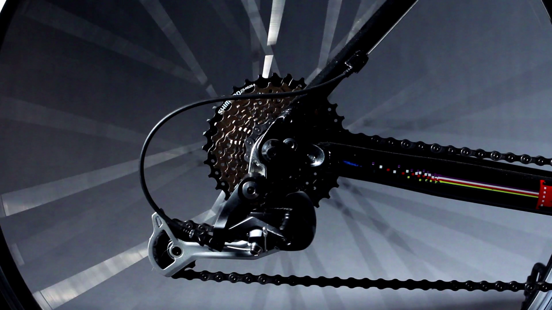 Bicycle Rear Wheel Spinning Stop Stock Footage SBV-305193443 - Storyblocks