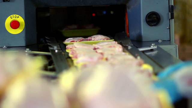 Food Factory Industrial Stock Footage: Royalty-Free Video Clips ...