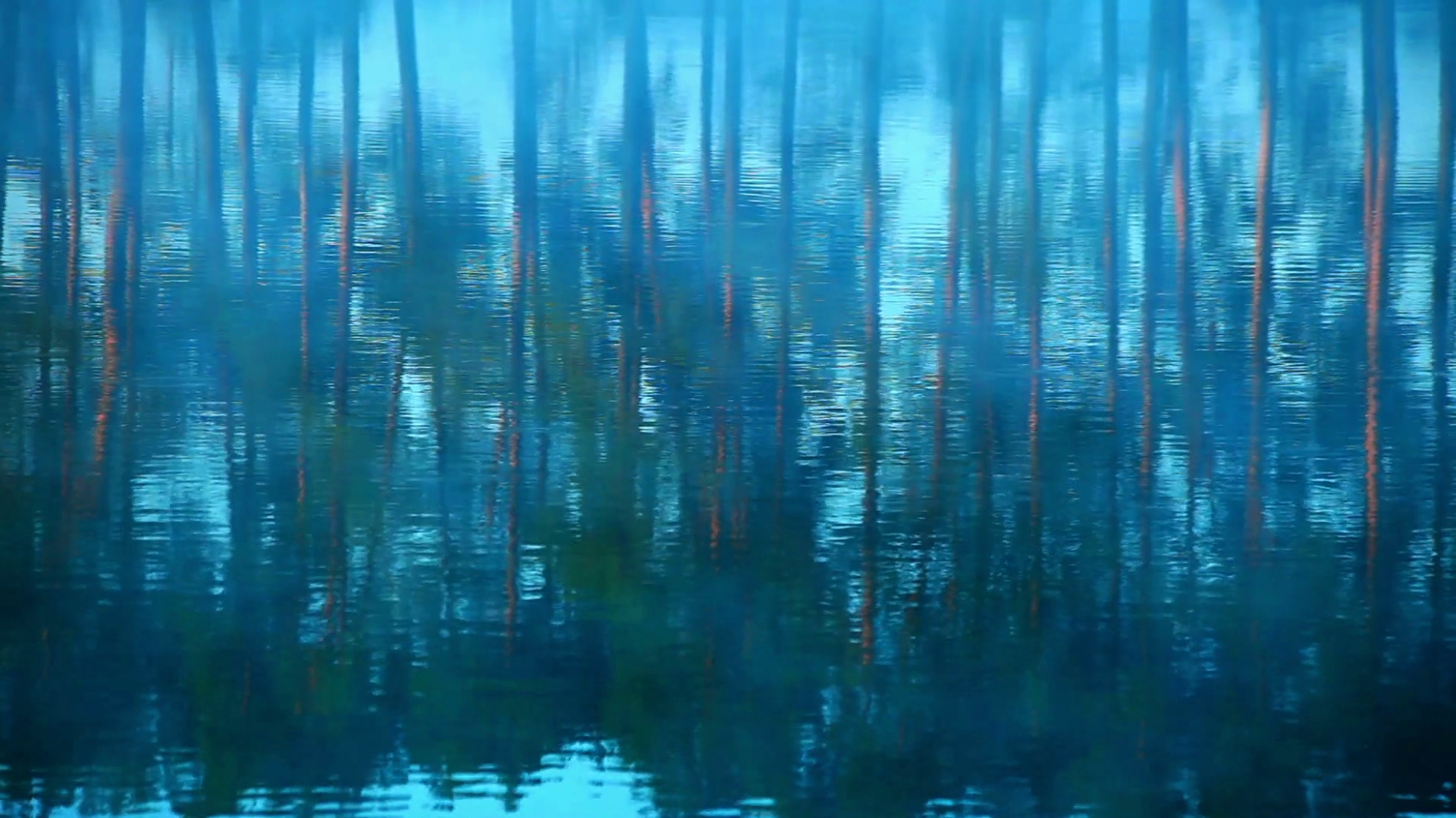 Forest Landscape Reflection On Water Stock Footage SBV-305165720 ...