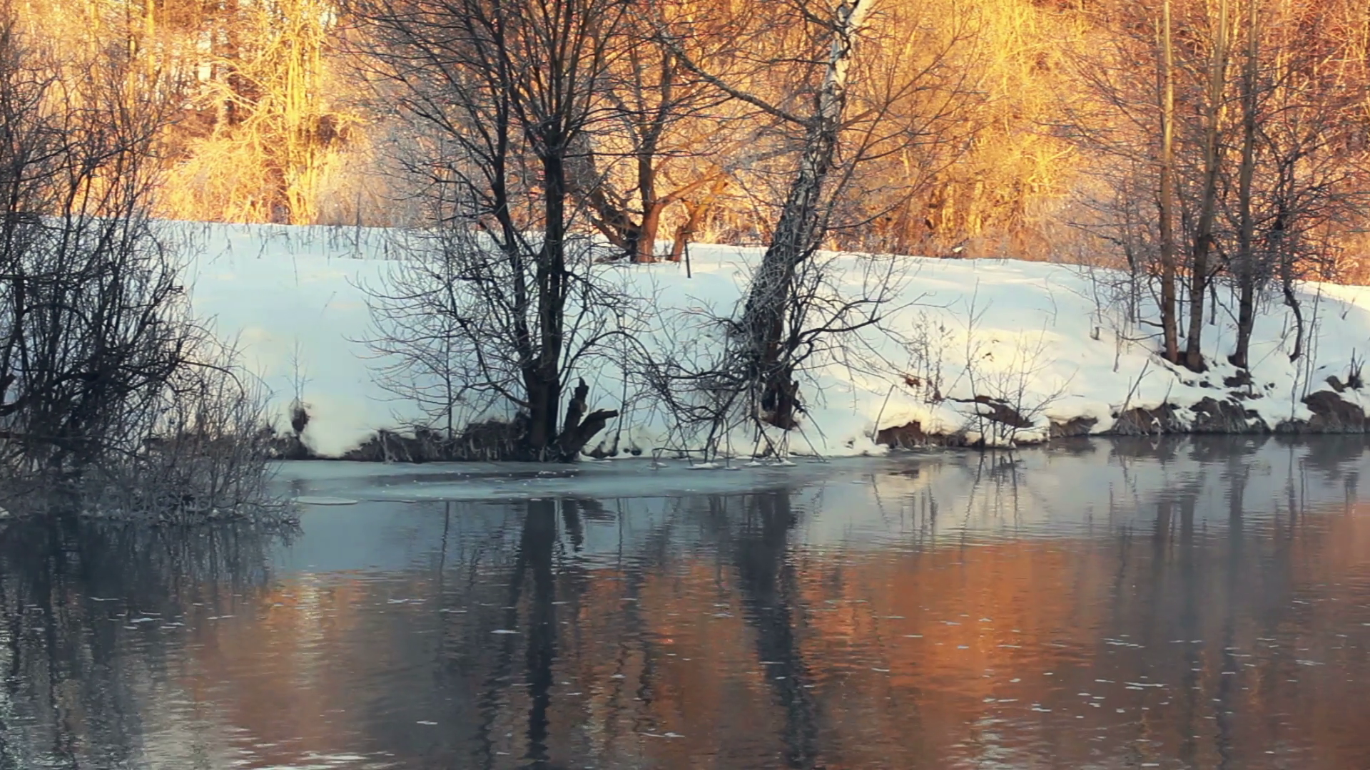 Forest river in winter. Winter river. River bank in winter forest. Mist ...