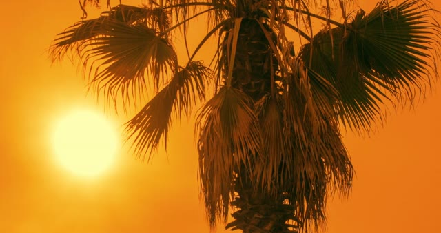 Hot Weather Stock Video Clips & Footage - Storyblocks