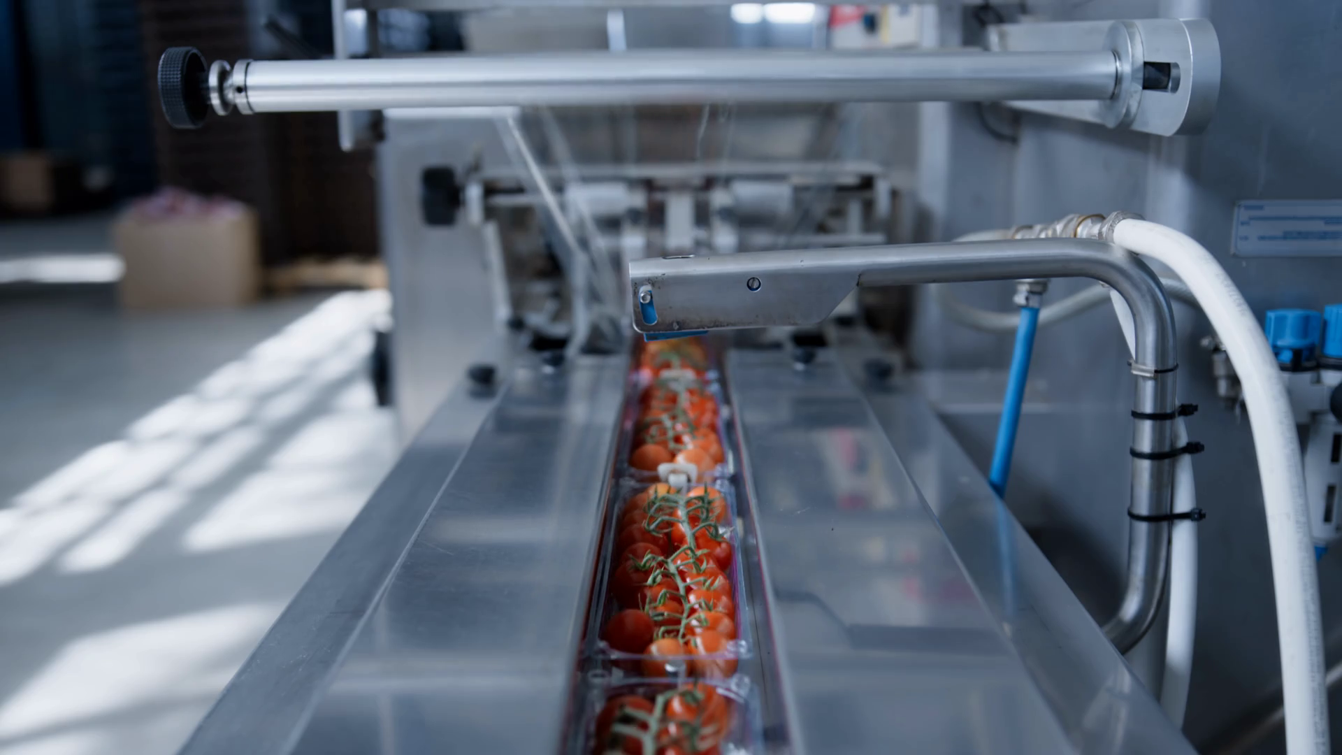Factory Machine Moving Tomatoes At Stock Footage SBV-346795943 ...