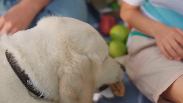 Eating Human Stock Footage: Royalty-Free Video Clips - Storyblocks