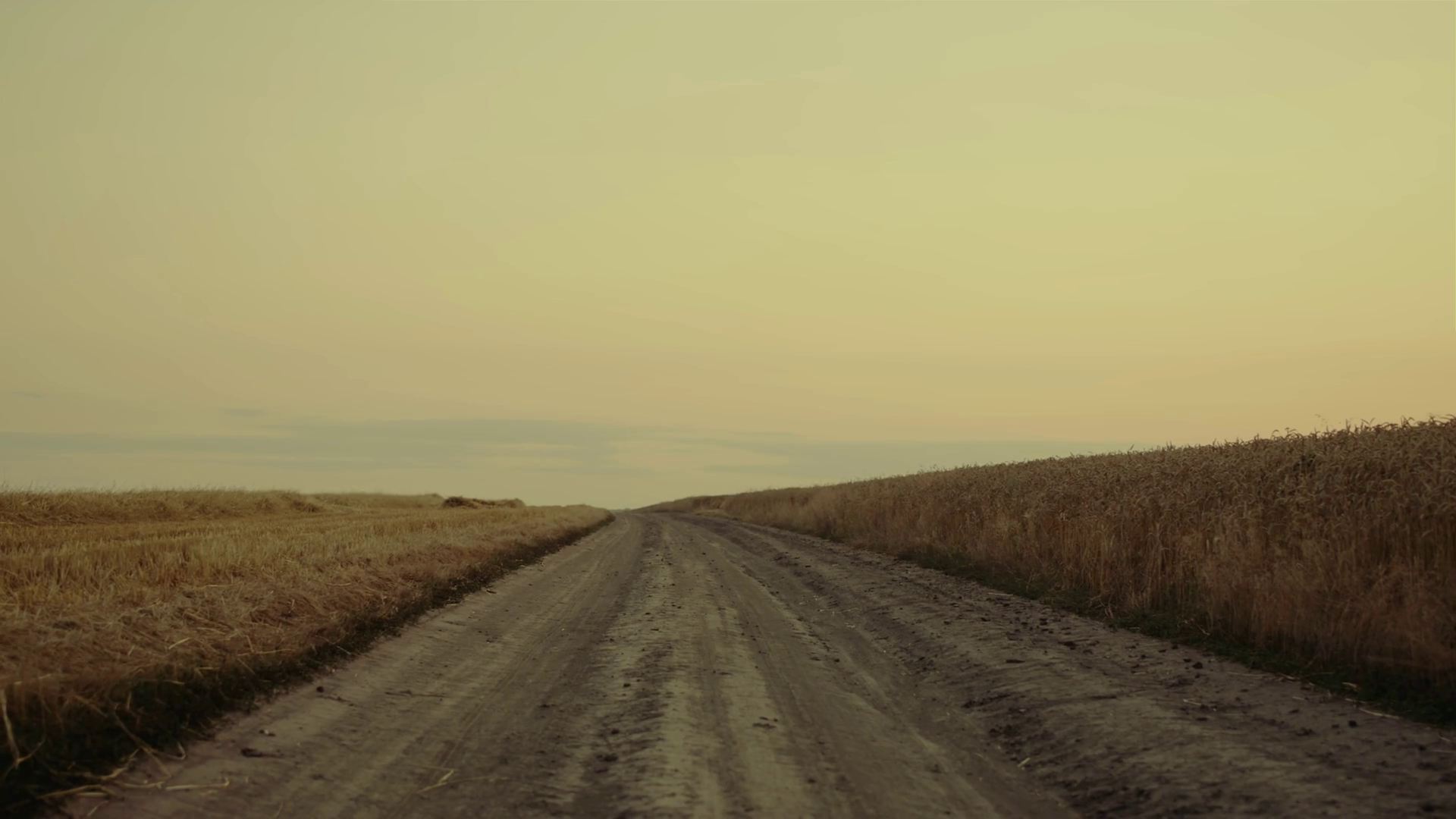 Road Wheat Field On Sunset Country Landscape Stock Footage SBV ...