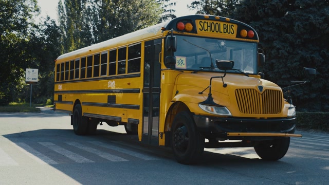 School Background Stock Footage: Royalty-Free Video Clips - Storyblocks