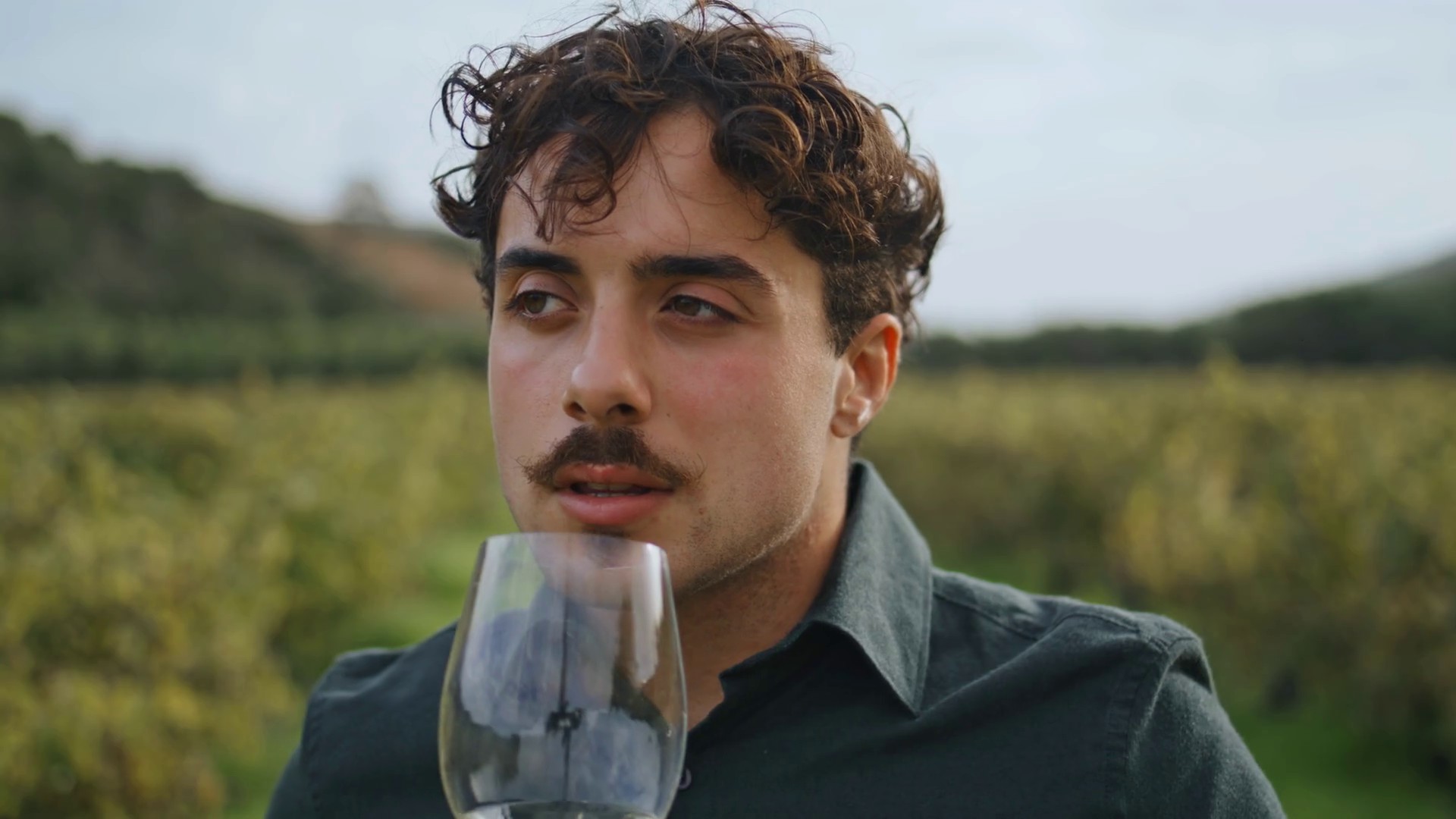 Italian Sommelier Tasting Wine From Elegant Stock Footage SBV-347635476 ...