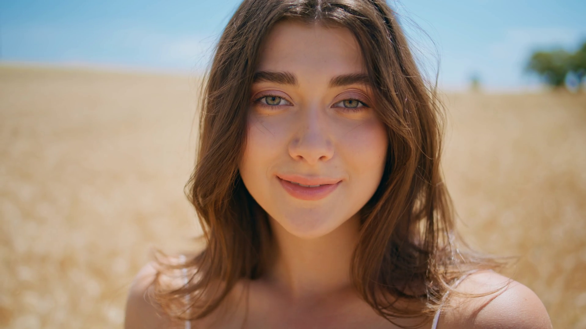 Sunny Lady Smiling Meadow Portrait Dreaming Stock Footage SBV-348751924 ...