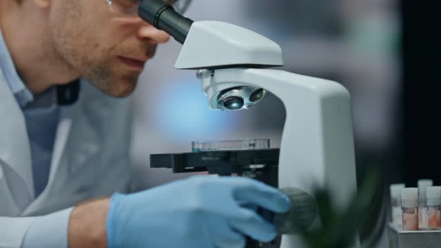 Professional Lab Stock Footage: Royalty-Free Video Clips - Storyblocks