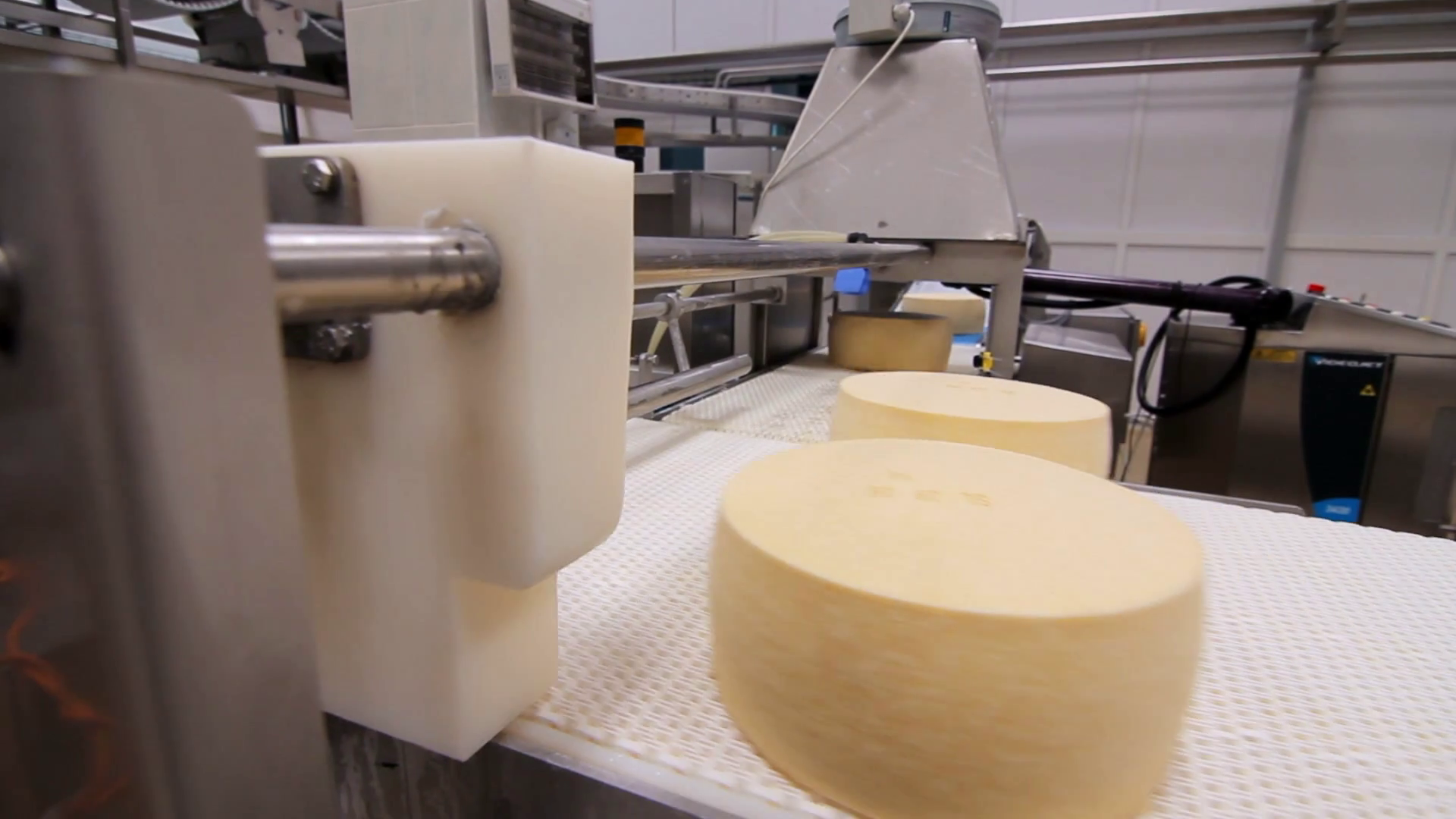 Automatical process of cheese production line. Cheese rounds on ...