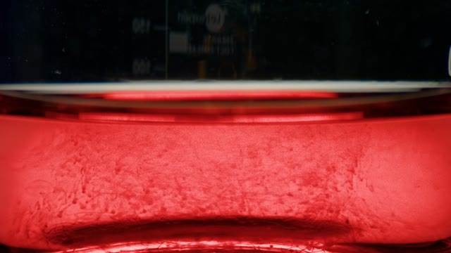 Blood Moving Stock Footage: Royalty-Free Video Clips - Storyblocks