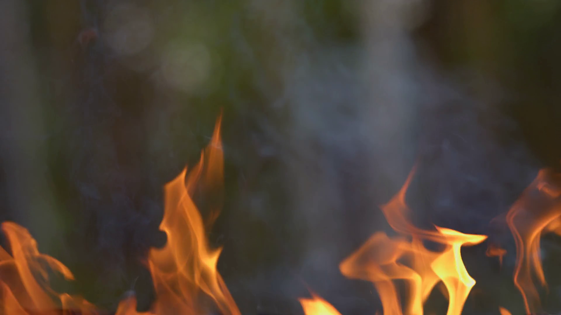Closeup of fire flames burning background in slow motion. Soft trail of ...