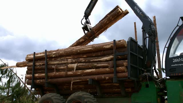 Wood Loader Stock Footage: Royalty-Free Video Clips - Storyblocks