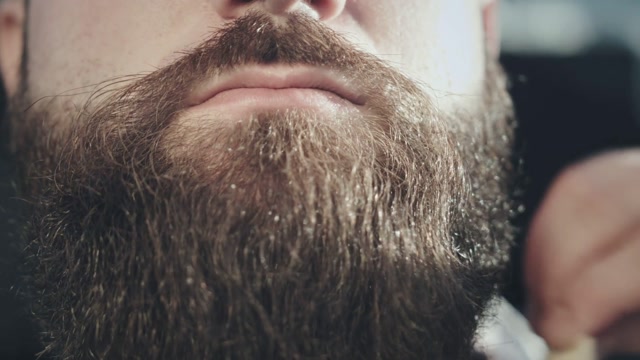 Itchy Beard Stock Footage: Royalty-Free Video Clips - Storyblocks