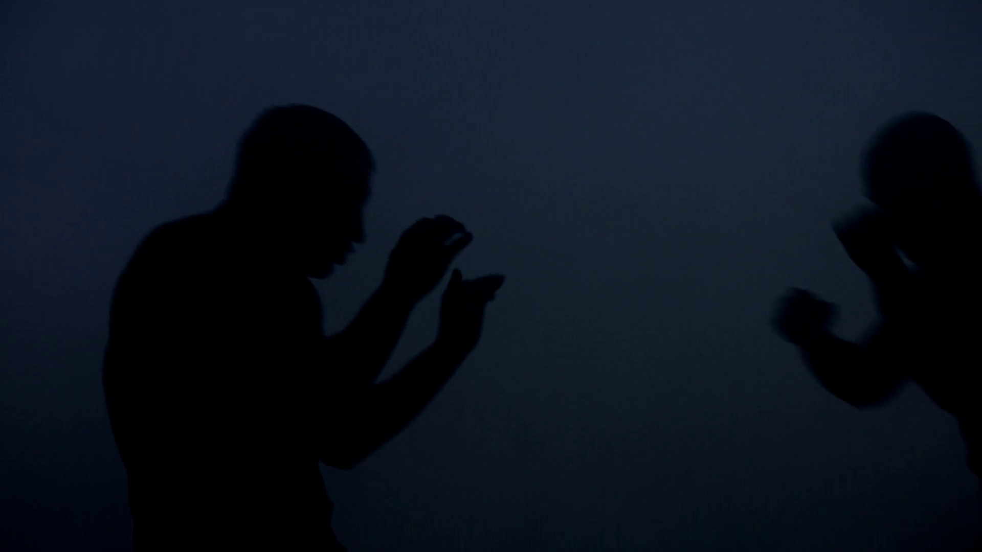 Silhouettes Kick Boxers Fight In Dark Stock Footage SBV-314674462 ...