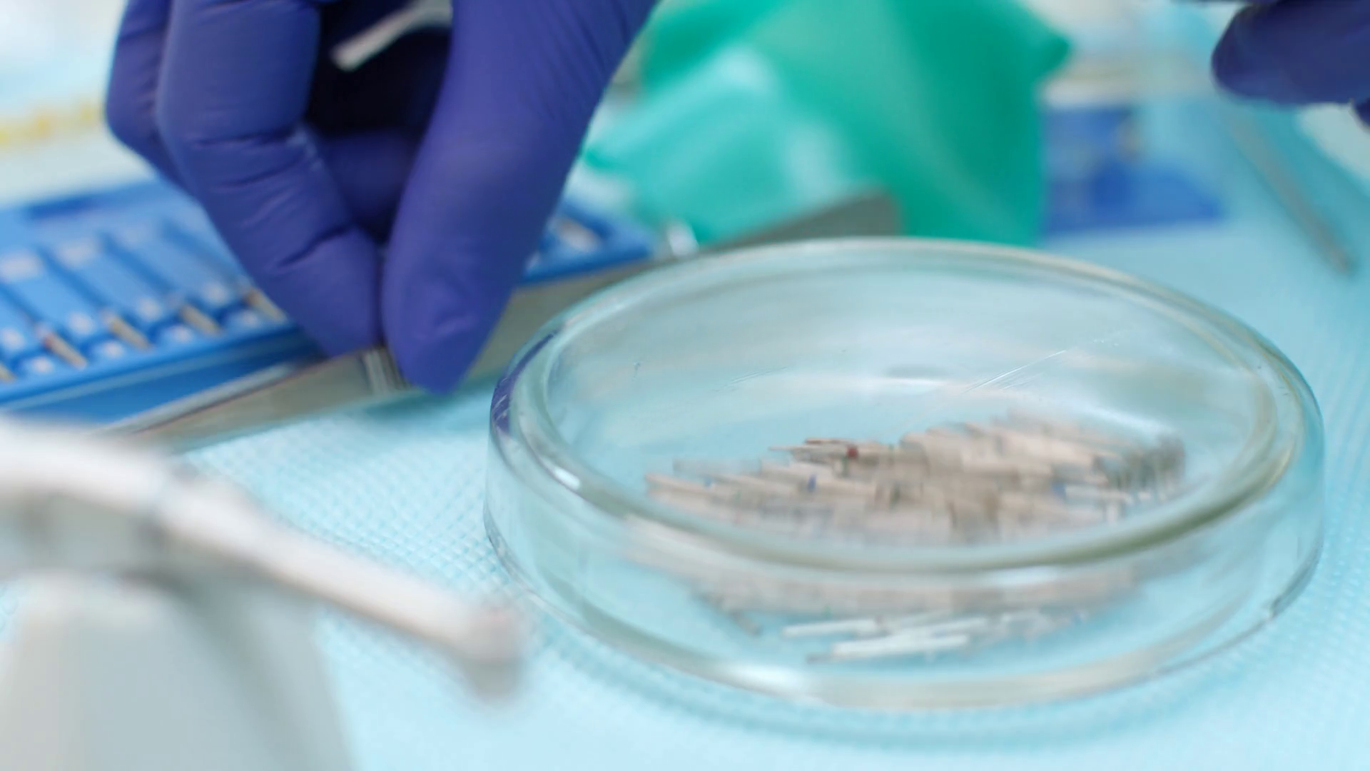 Stomatolog hand holding medical tweezers. Close up dentist hand ...