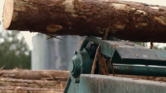 Log Processing Stock Footage: Royalty-Free Video Clips - Storyblocks