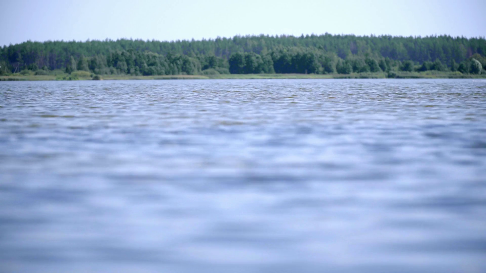 Water Surface With Forest On Horizon Stock Footage SBV-334465936 ...