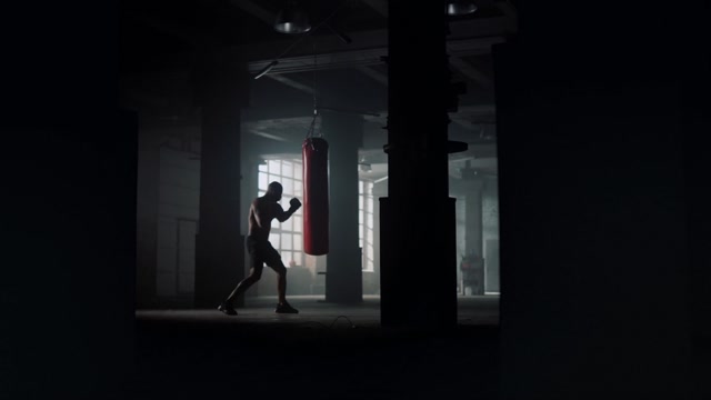 Boxing Stock Footage: Royalty-Free Video Clips - Storyblocks