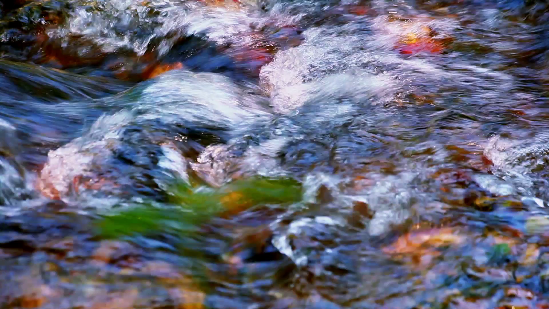 Water Flowing Over Stones In Forest River Stock Footage SBV-305256908 ...