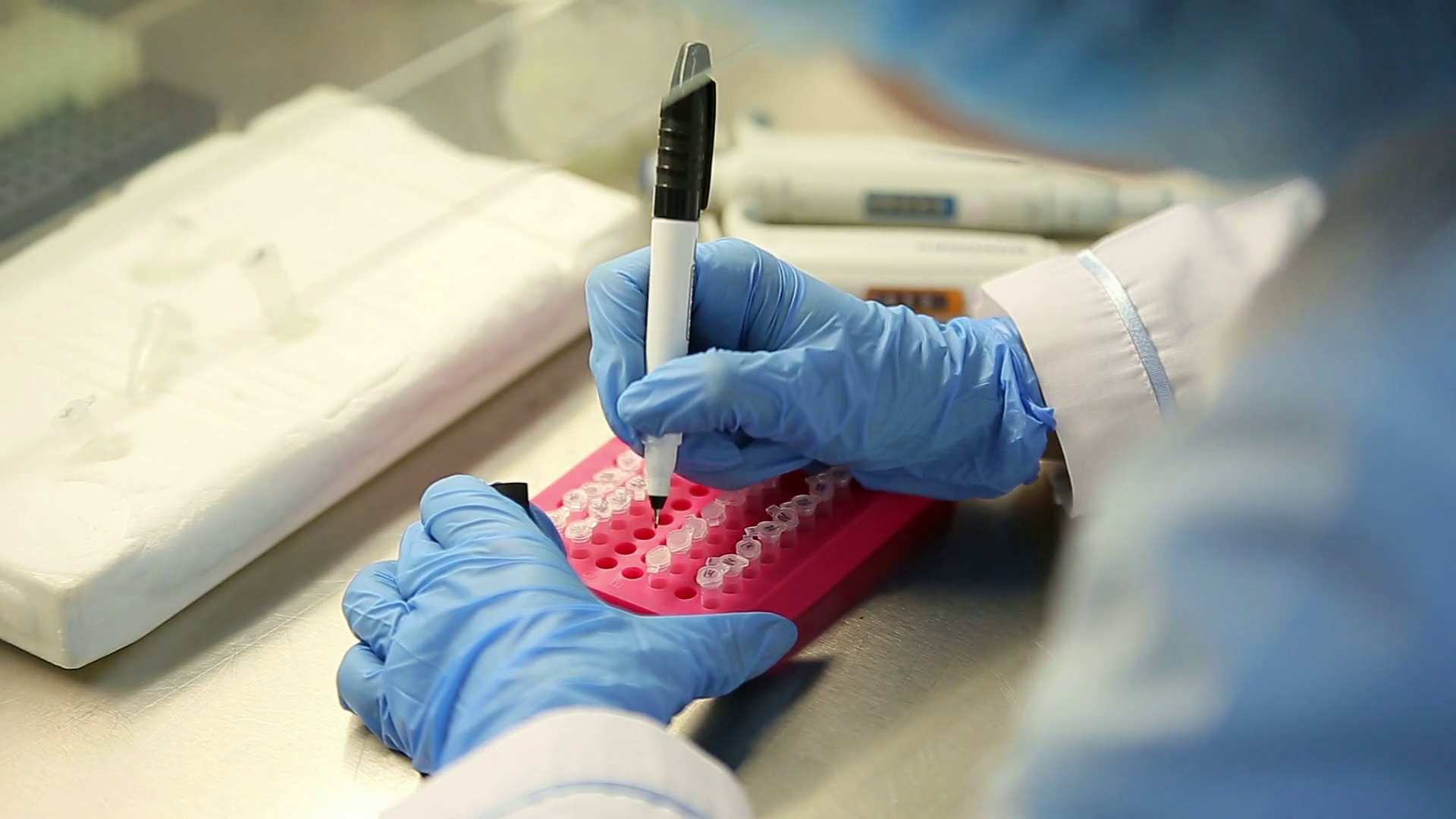 Microbiology Laboratory Work With Tests Stock Footage SBV-307158138 ...