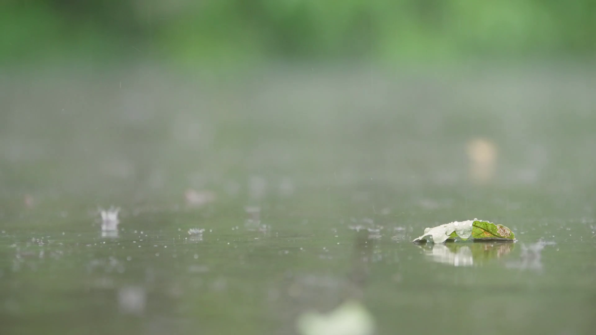 Summer Rain Drops Falling On Terrace Floor Stock Footage SBV-347362641 ...