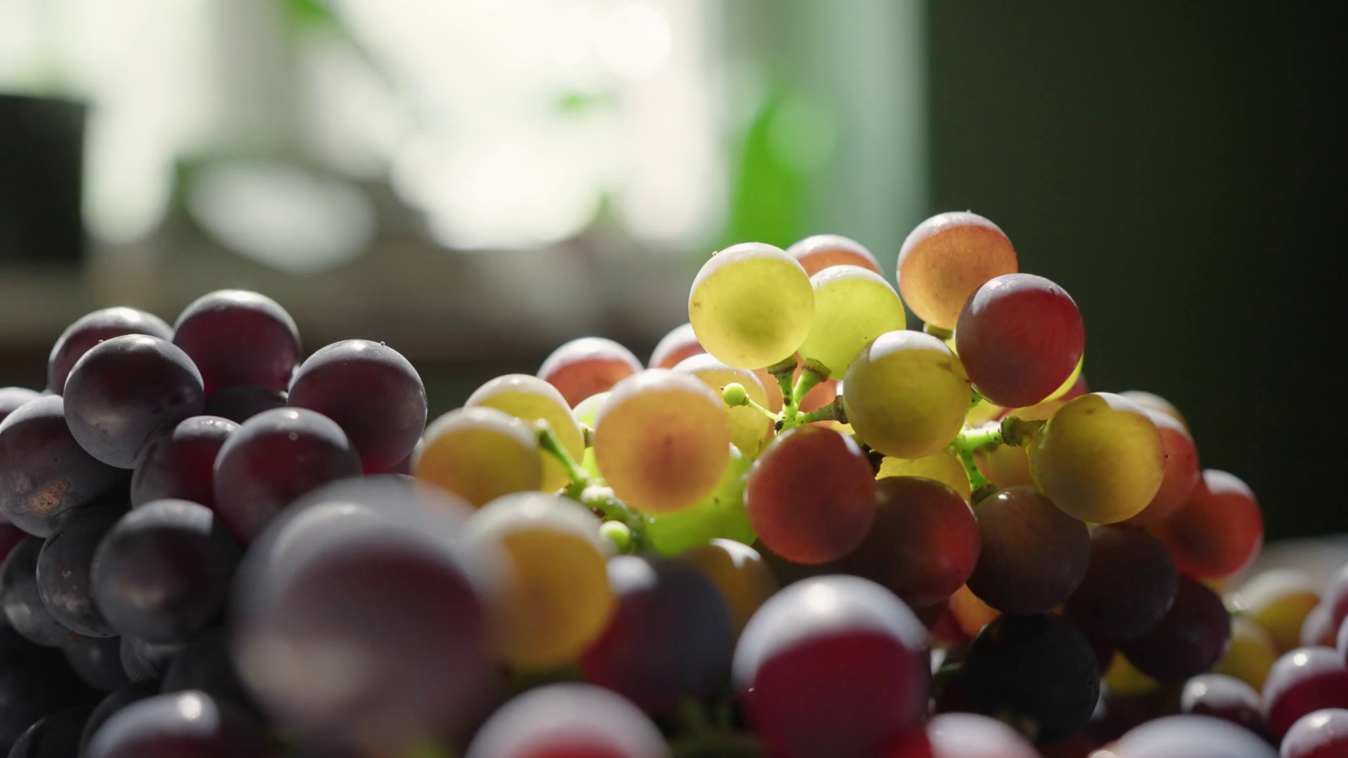 Freshly Picked Grapes On Kitchen Table On Stock Footage SBV-347348014 ...