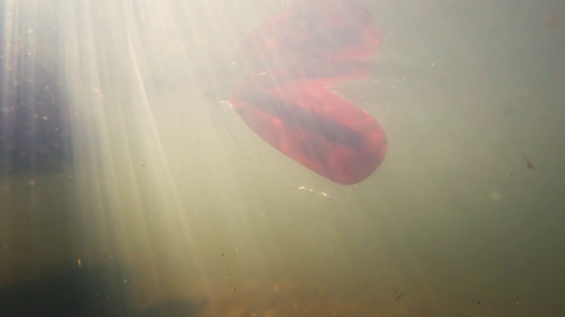 Underwater View Of Canoe Paddling Along River Stock Footage SBV ...