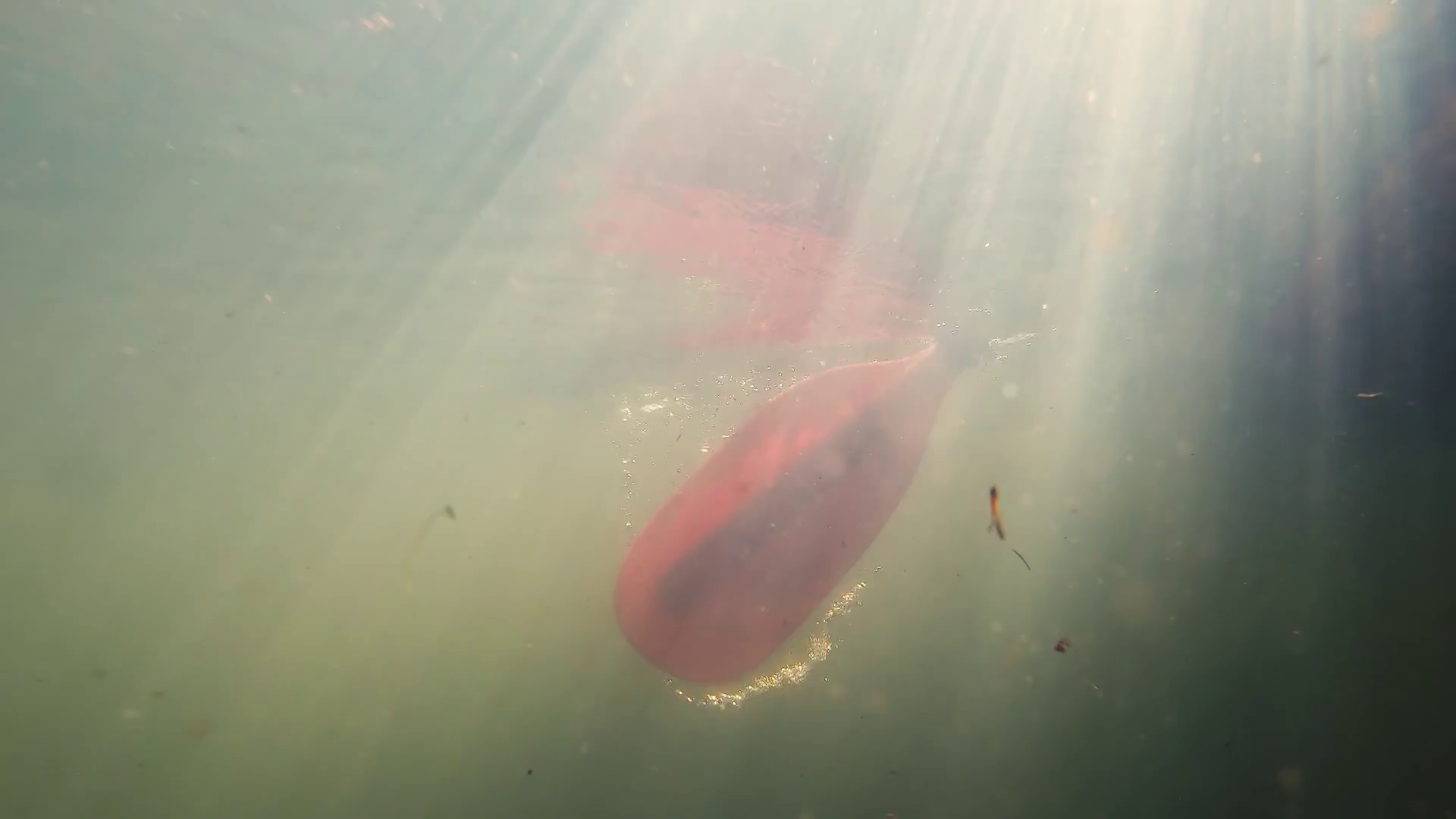 Underwater View Of Canoe Paddling Along River Stock Footage SBV ...