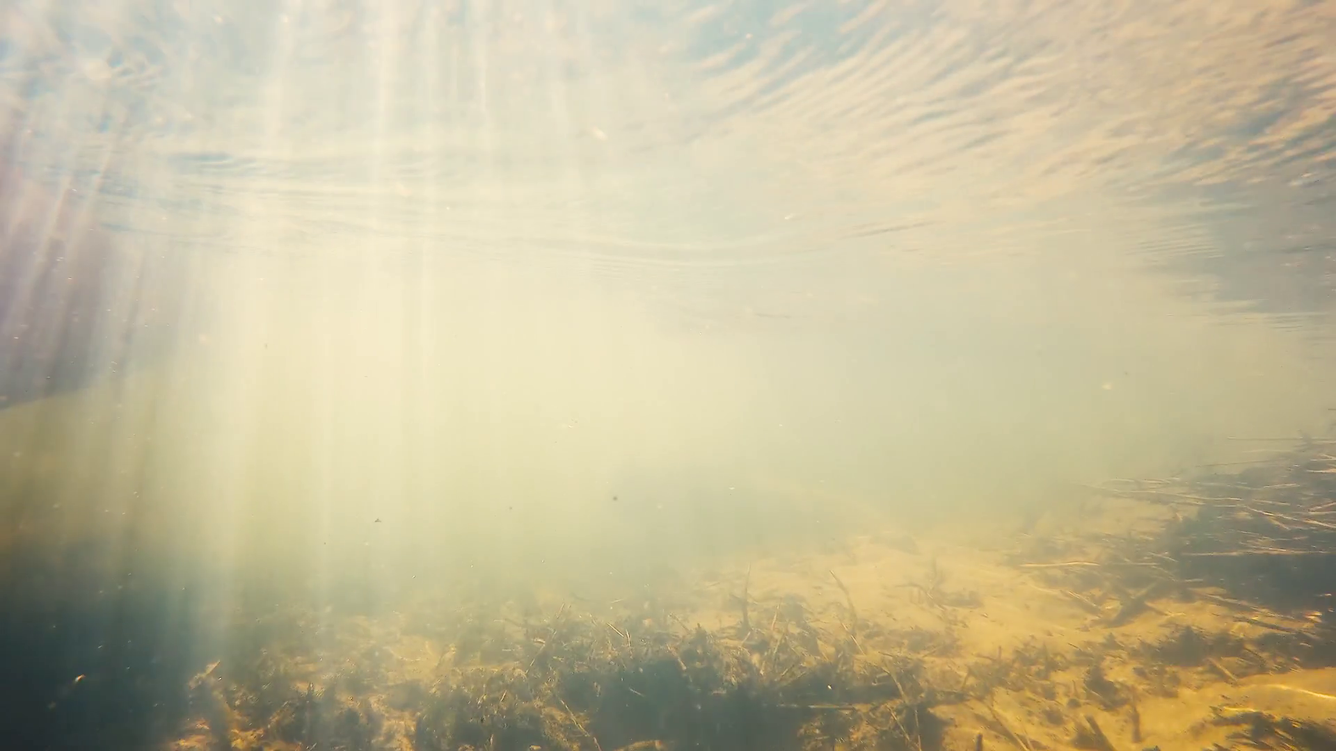 Underwater View Of Canoe Paddling Along River Stock Footage SBV ...