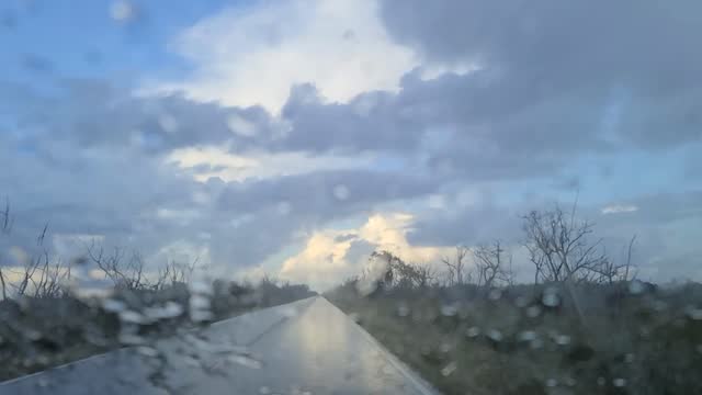 Florida Cold Stock Footage: Royalty-Free Video Clips - Storyblocks