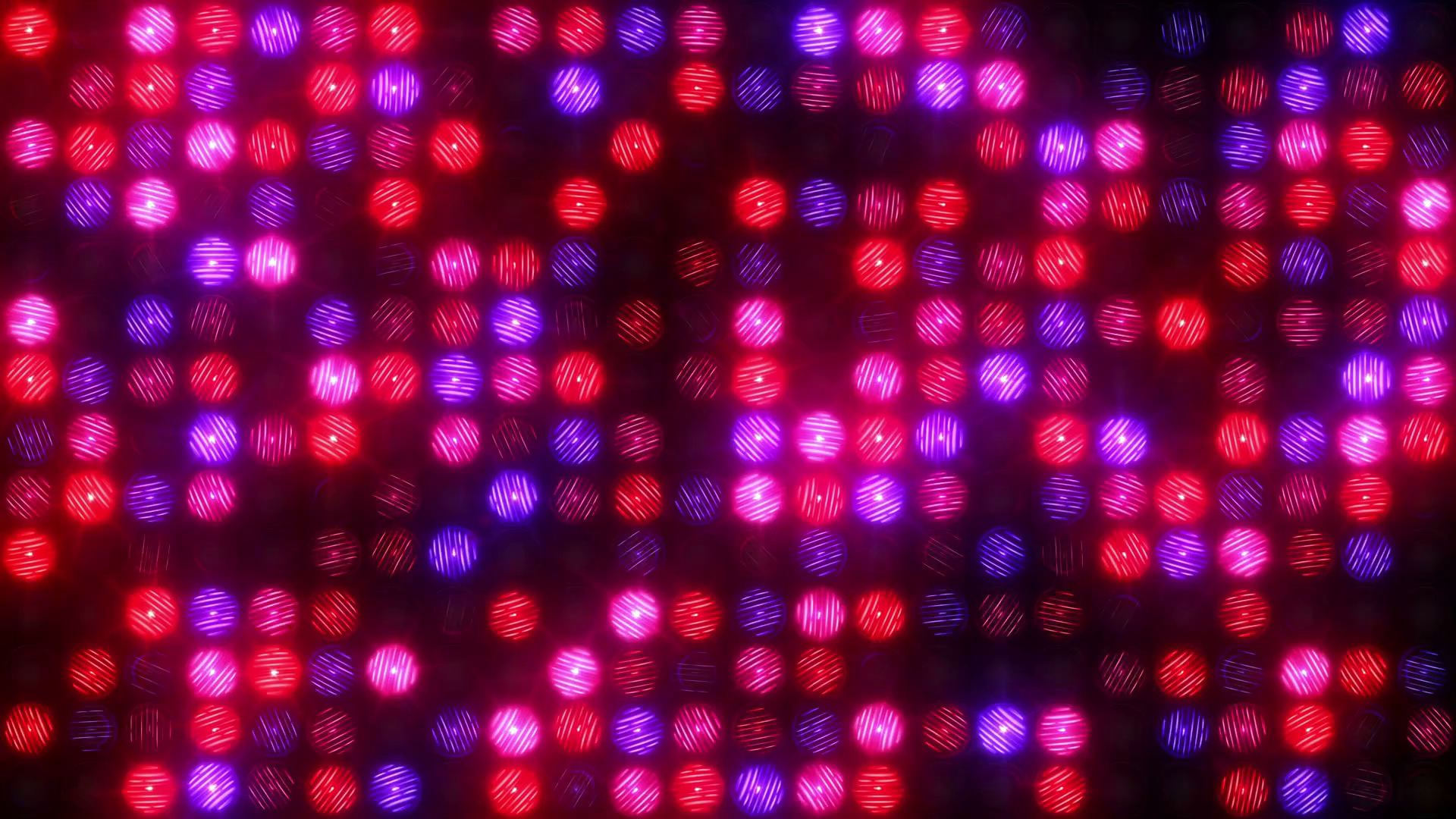 Blue Pink Red Lights Flash On Wall Of Light Stock Motion Graphics SBV ...