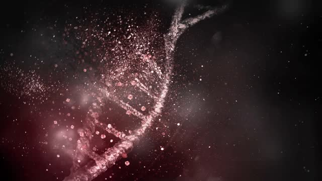 Dna Analysis Stock Footage: Royalty-Free Video Clips - Storyblocks
