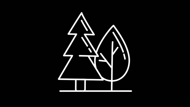Forest Alpha Stock Footage: Royalty-Free Video Clips - Storyblocks
