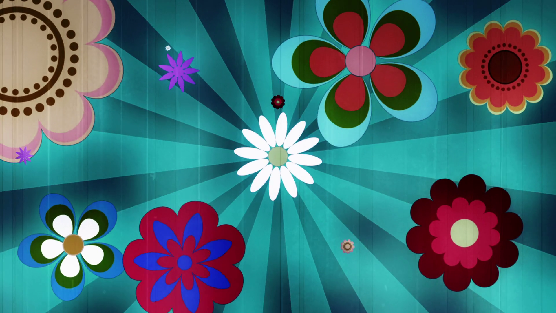 Flower Retro Looping Sixties Blue Hippie Stock Motion Graphics SBV ...