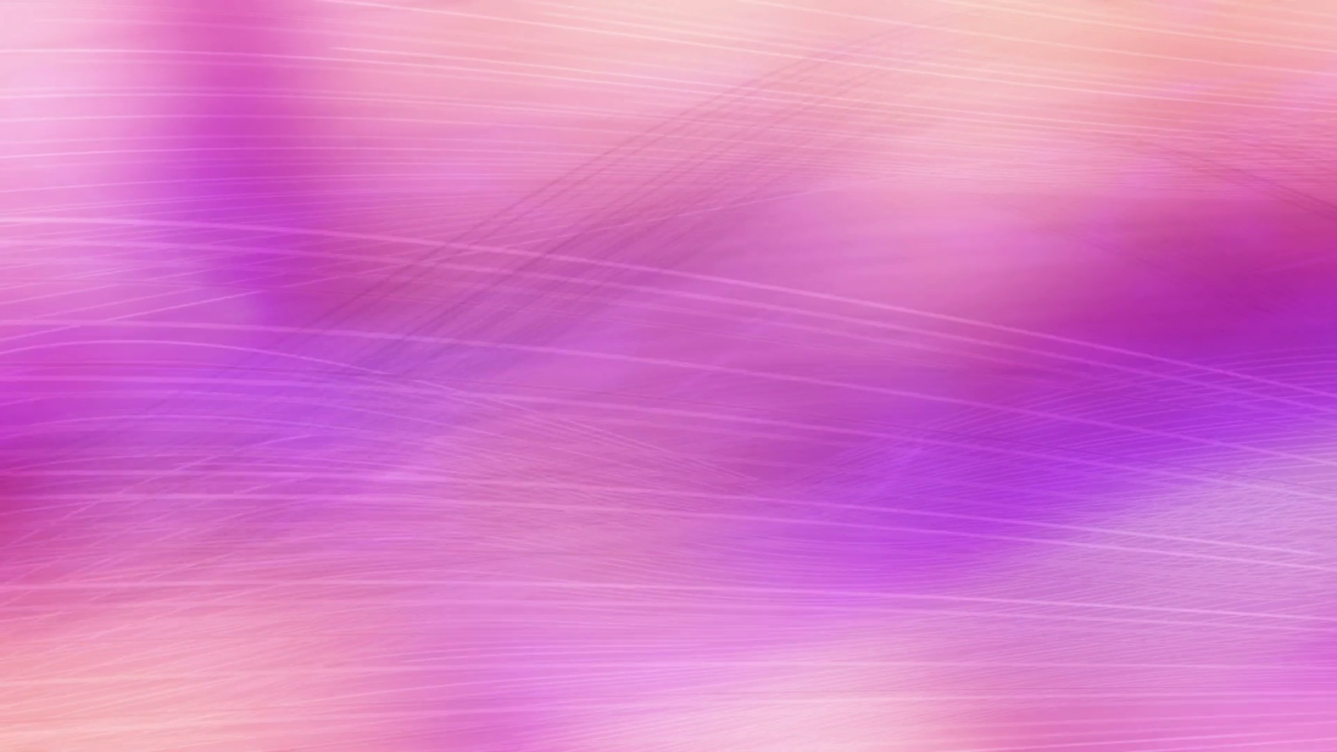 Peach Pink Purple Flowing Lines Looping Stock Motion Graphics SBV ...