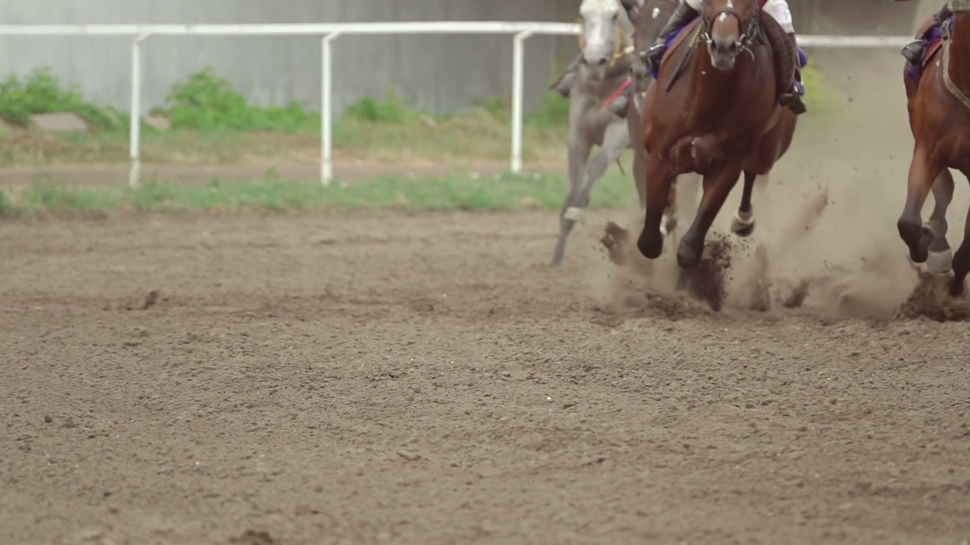 Horse Riders At Turn Of Racetrack Slow Motion Stock Footage SBV ...