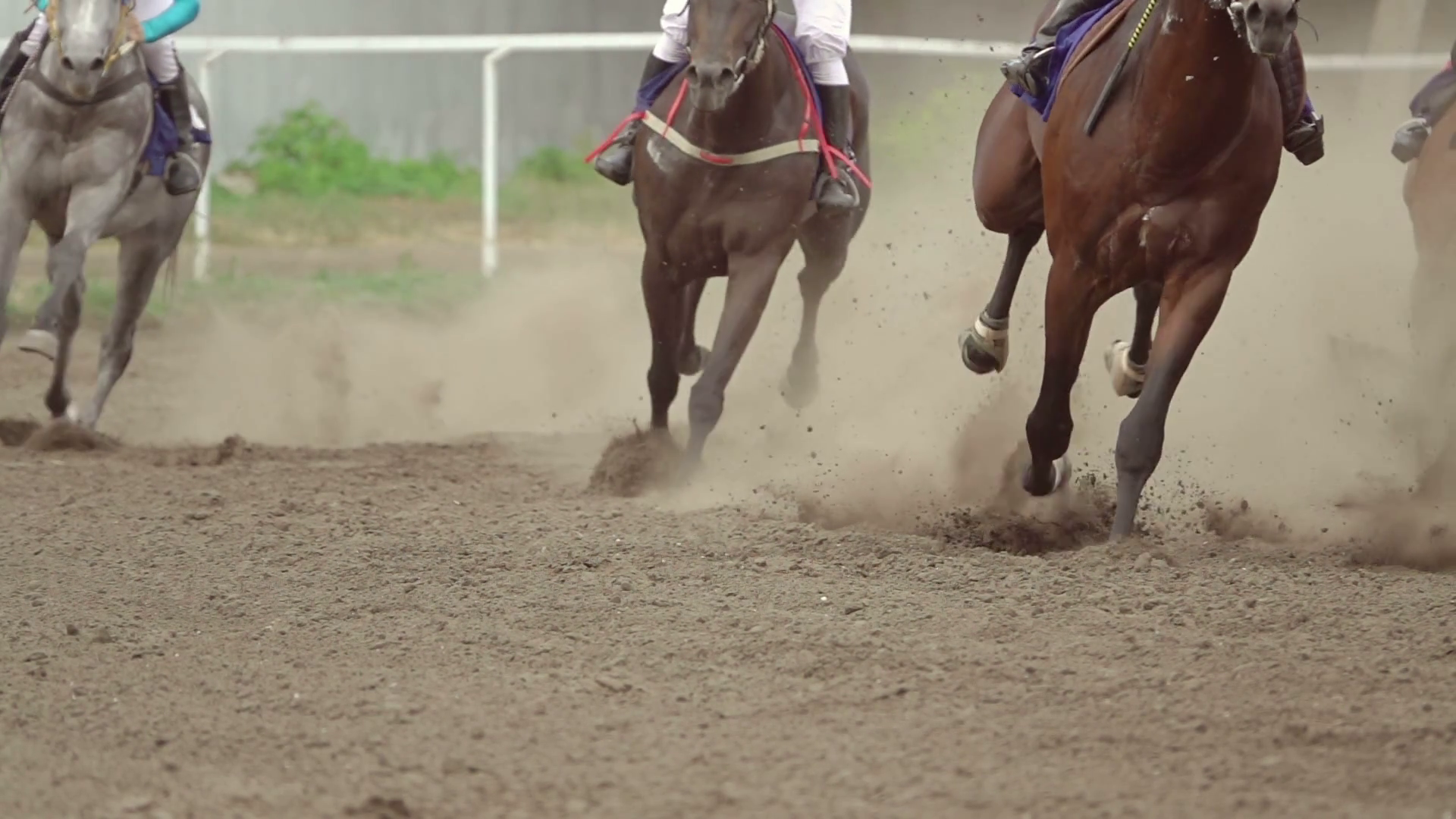 Horse Riders at the Turn of the Racetrack. Slow Motion Stock Video ...