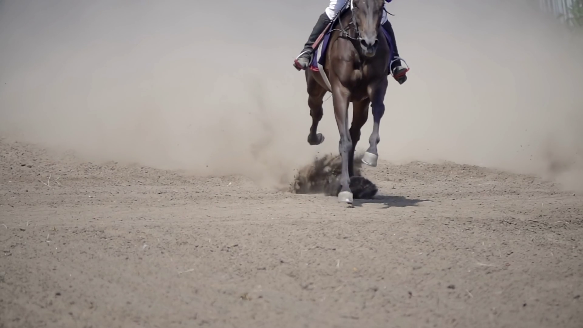 Racehorses On Racetrack Slow Motion Stock Footage SBV-347099551 ...