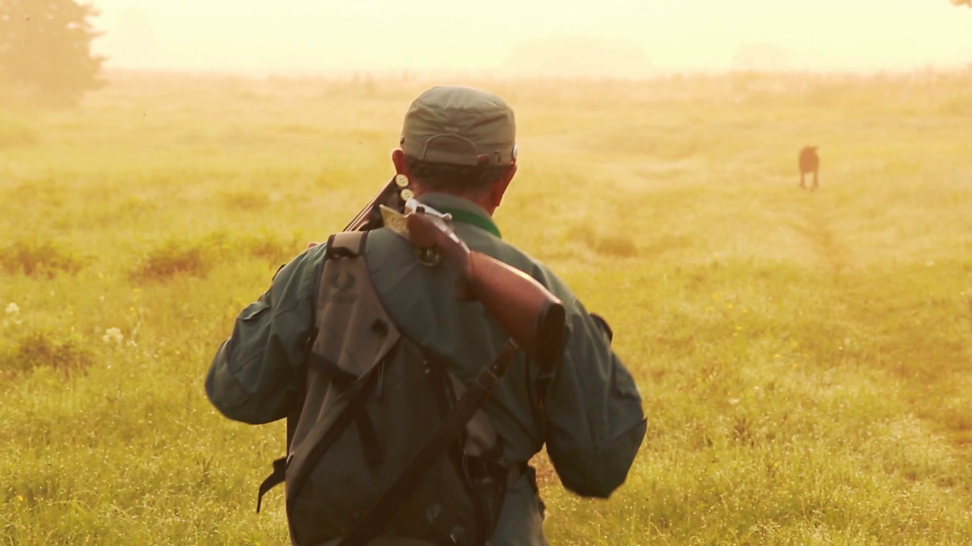 Hunter With Dogs Going Hunting At Dawn Stock Footage SBV-308533703 ...