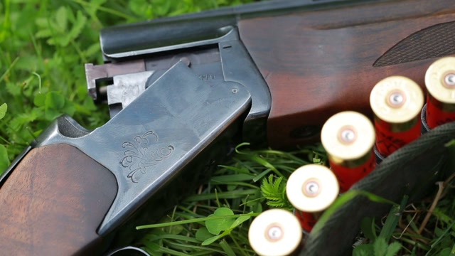 Self Defense Gun Stock Footage: Royalty-Free Video Clips - Storyblocks