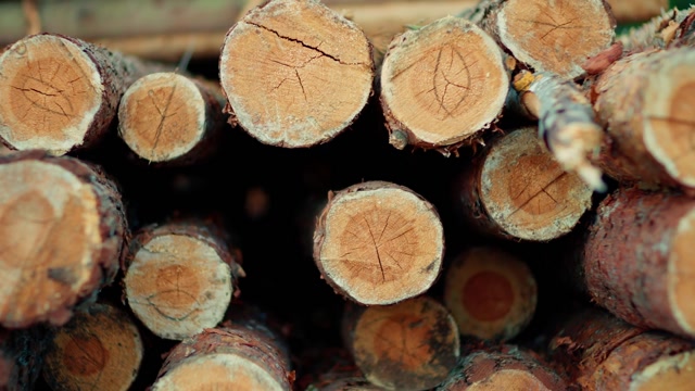 Lumber Yard Stock Footage: Royalty-Free Video Clips - Storyblocks